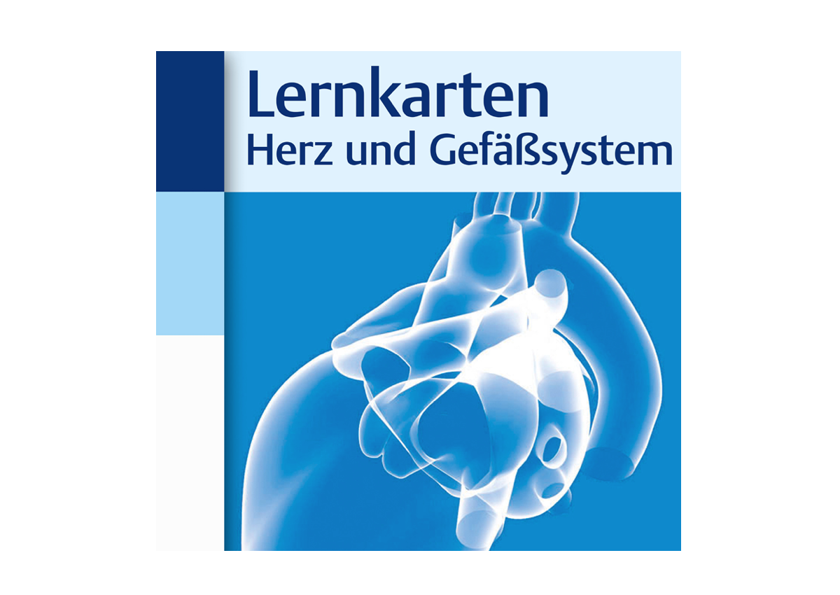 Herz Interaktiv Lernen _ Das Herz 3D Experiment – HHCT